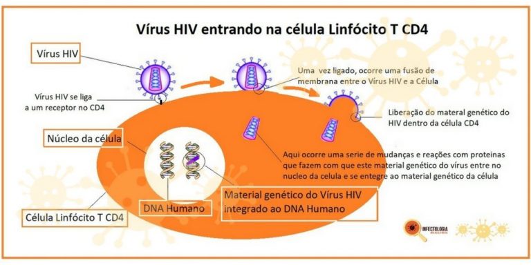 Como o vírus HIV age no organismo humano | Dra. Keilla Freitas - Dra keilla Freitas